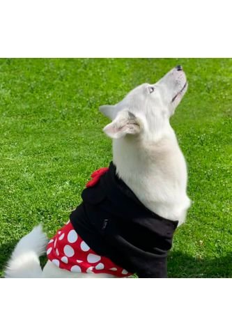 Stilotex Mixto Minnie Mouse - Encuentra Ahora | Dafiti Colombia